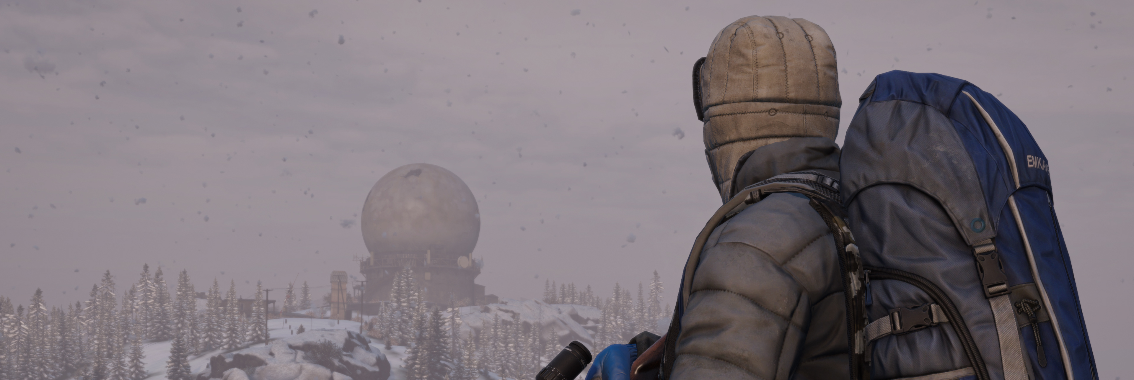 DayZ