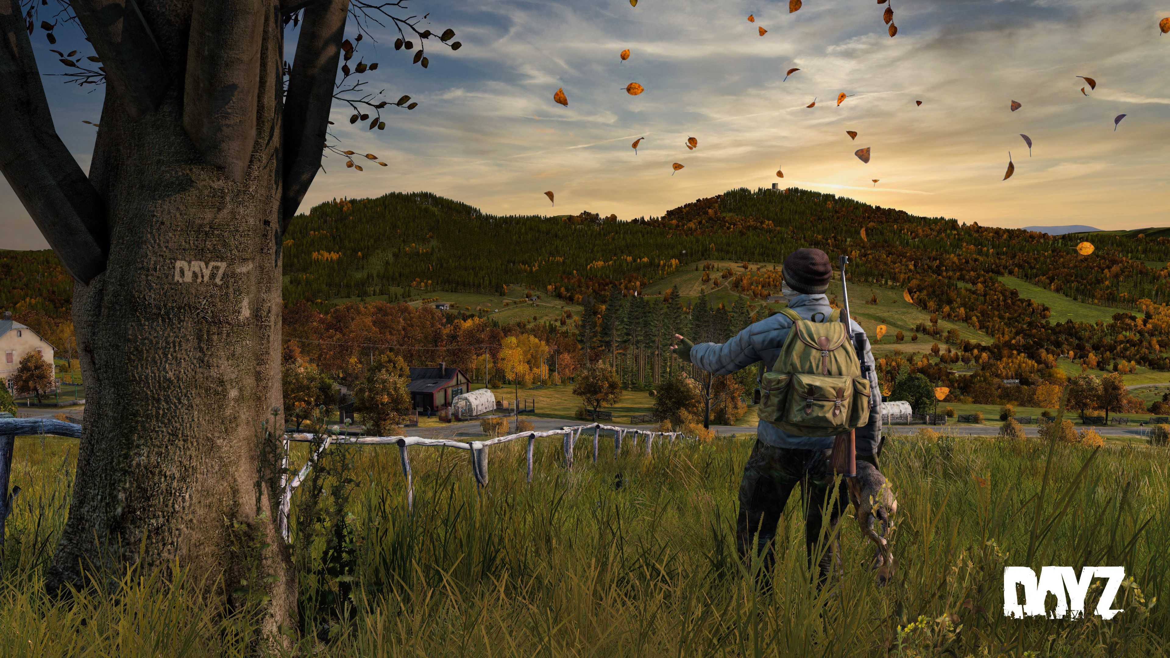 DayZ