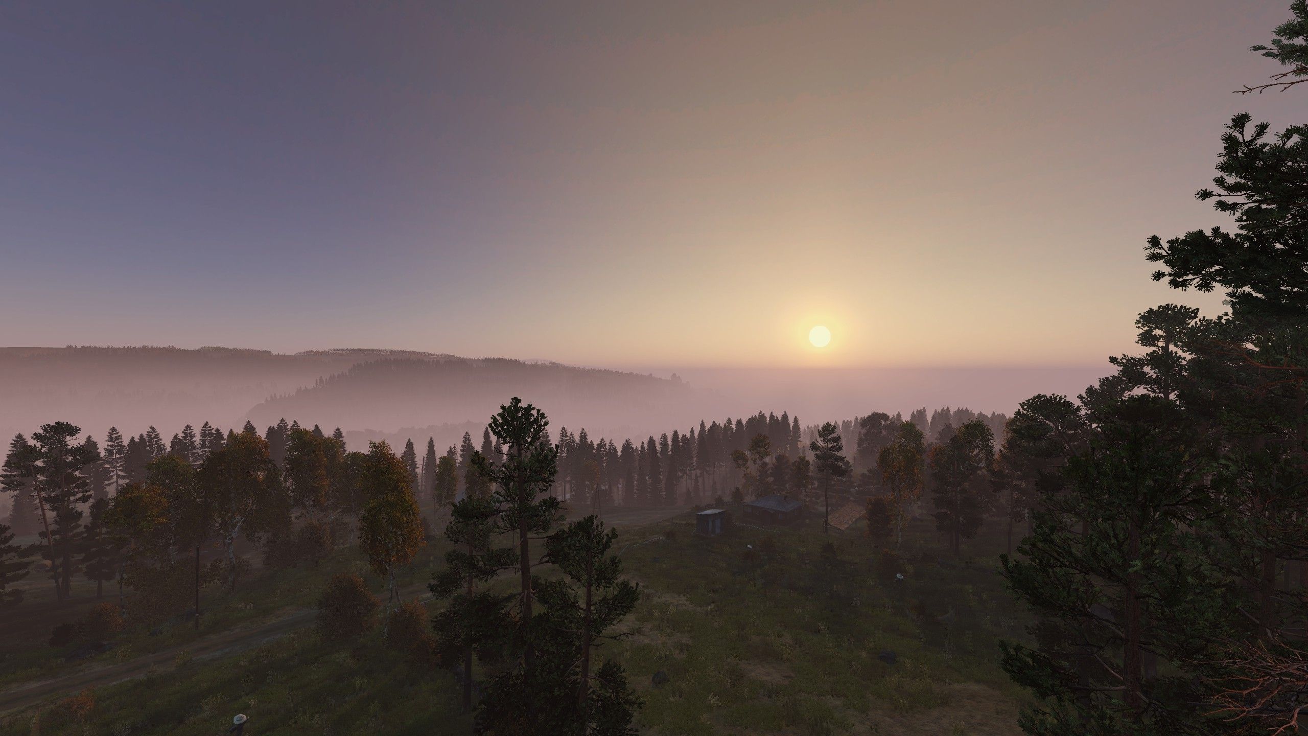DayZ