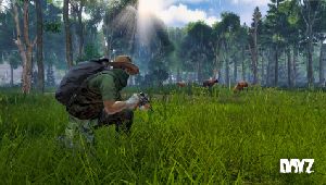 DayZ