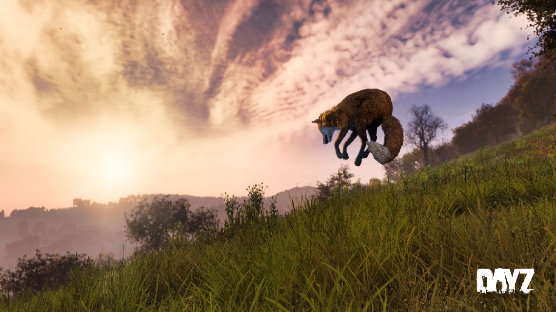 DayZ
