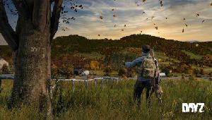 DayZ