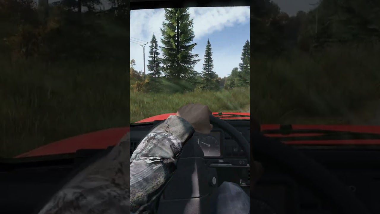 DayZ